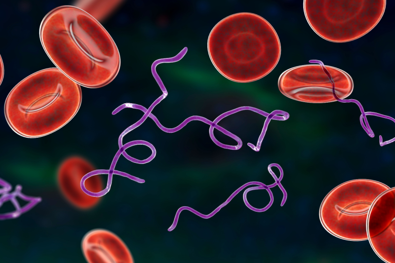 Exploring the Link Between Lyme Disease and Autoimmune Disorders Exploring the Link Between Lyme Disease and Autoimmune Disorders